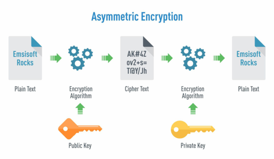 Spotlight on ransomware: Ransomware encryption methods - Emsisoft ...